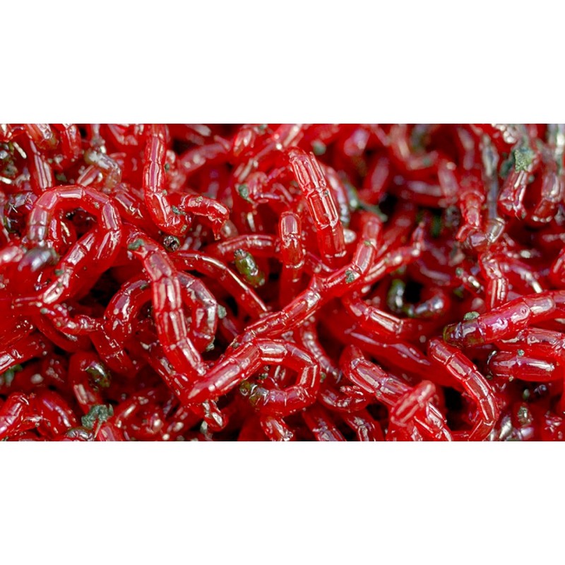 Uodo trūklio lerva - UAB SIPRAK